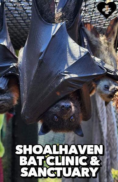 SHOALHAVEN BAT CLINIC & SANCTUARY
