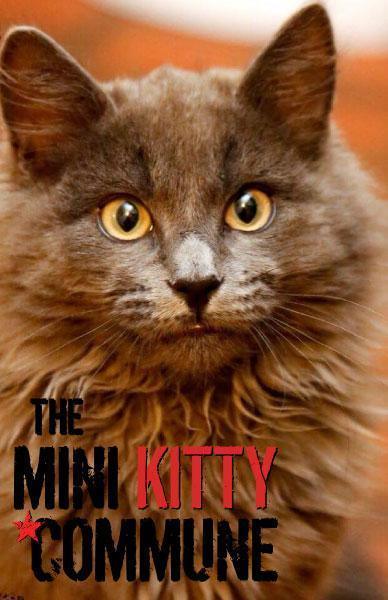 The Mini Kitty Commune ~ New Animal Charity!