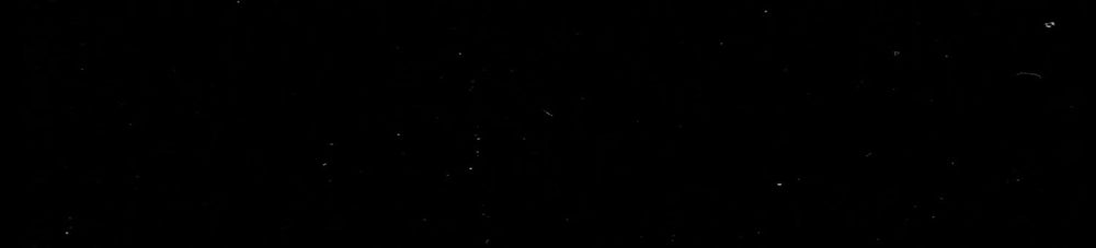 Shop Disturbia Clothing in Australia - Beserk