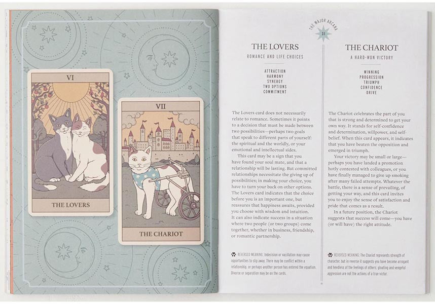 Cats Rule The Earth | TAROT DECK & GUIDEBOOK