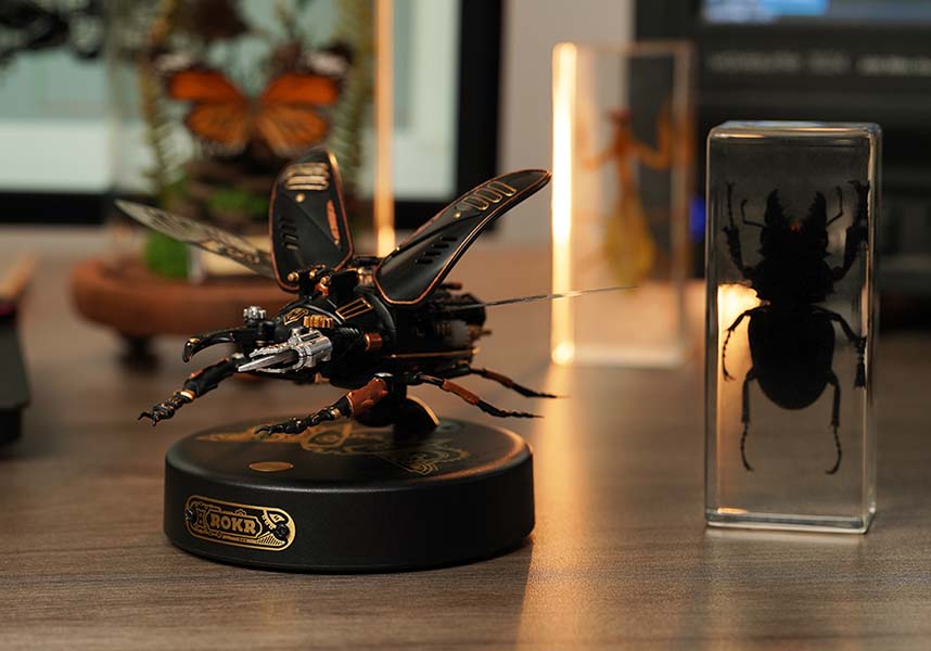 Rolife - Storm Beetle Model DIY 3D Puzzle - Buy Online Australia