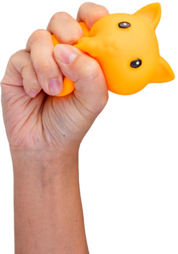 Home All Crunchy Pets | FIDGET TOY [BLIND PICK]