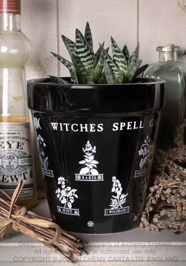 Alchemy Gothic - Witches Spell Garden Plant Pot - Buy Online Australia